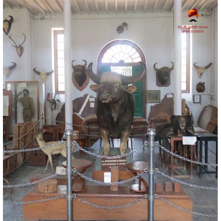 Akbari Fort & Museum | Ajmer Fort